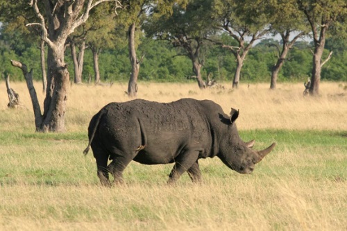 Bezoek Matobo National Park | AfrikaPLUS